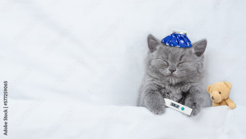 Sick Kitty Thermometer