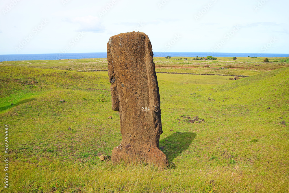 One of abandoned huge Moai statues on the foothill of Rano Raraku ...
