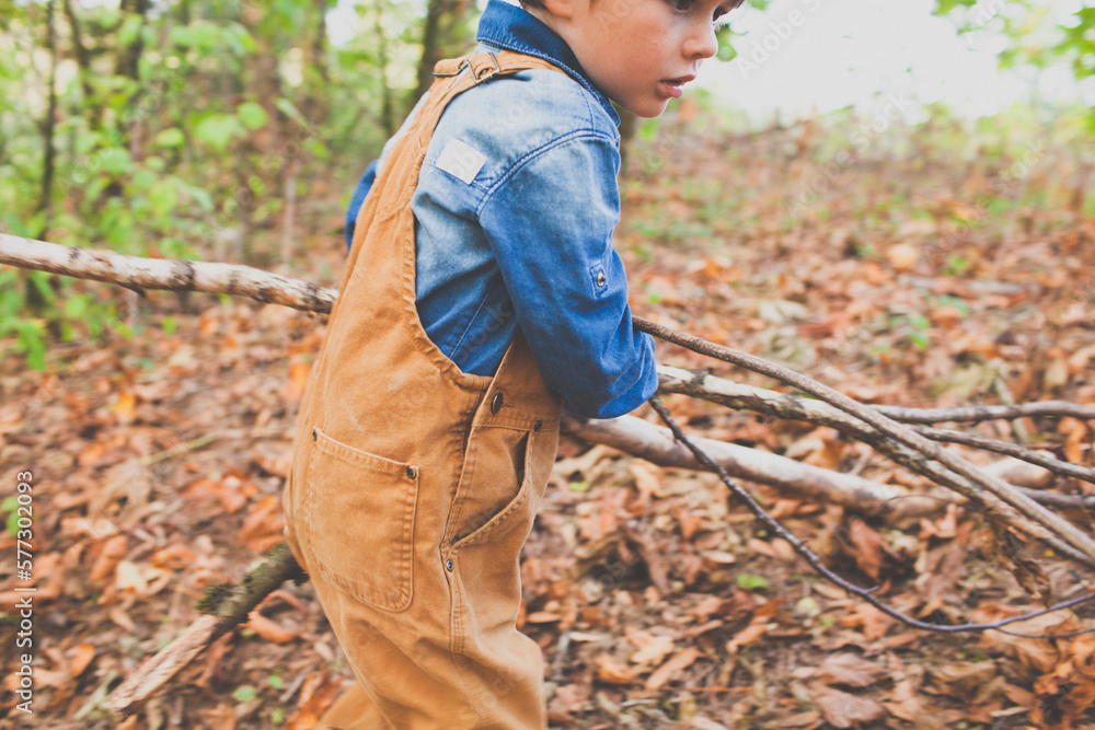 A young boy drags a tree branch out of the forest while playing in ...