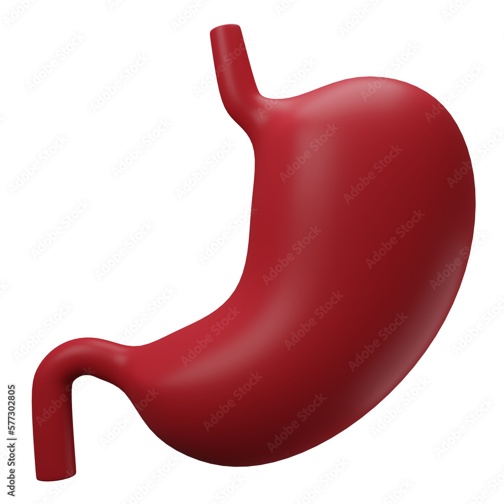 3d illustration of red stomach organ anatomy icon logo with transparent ...