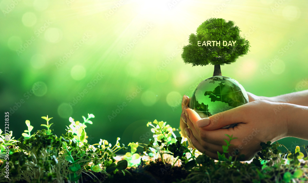 Environment day, save clean planet, ecology concept. Earth Day.Hand ...