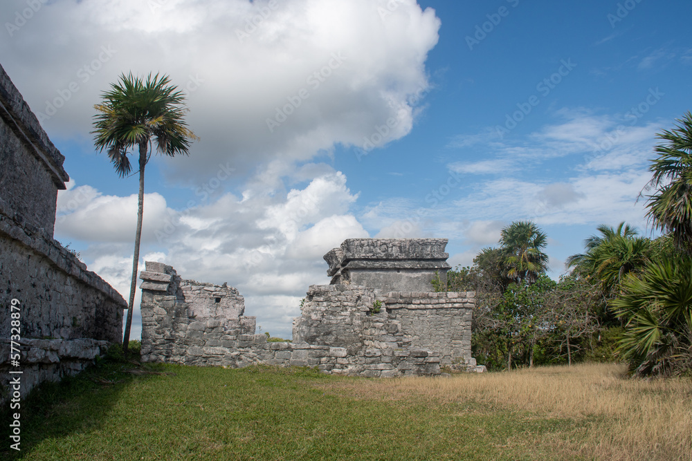 Poster Mayan Buildings at Tulum with Palm tree – Tableau | Europosters