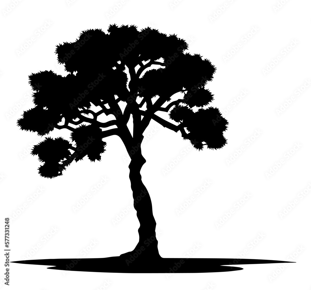 Vector silhouette Joshua tree on white background. The iconic desert ...