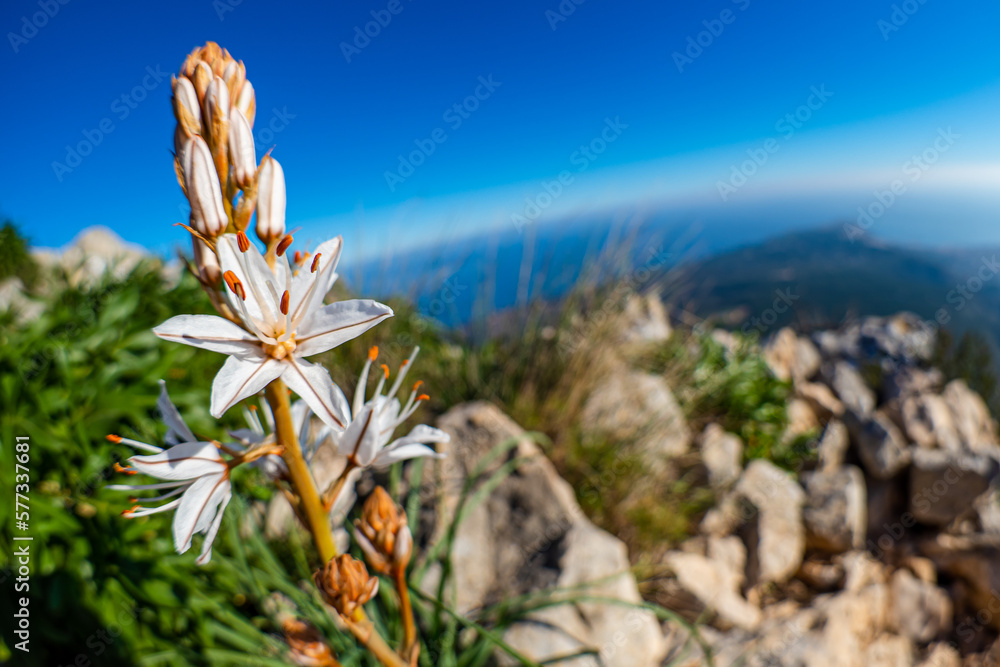 Parque natural del Macizo del Montgó and the Montgó Massif Stock Photo ...
