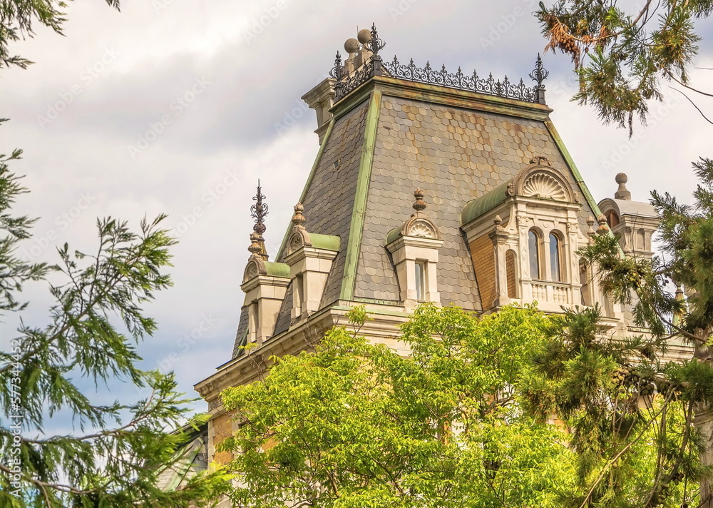 The roof of the house in medieval style Stock Photo | Adobe Stock