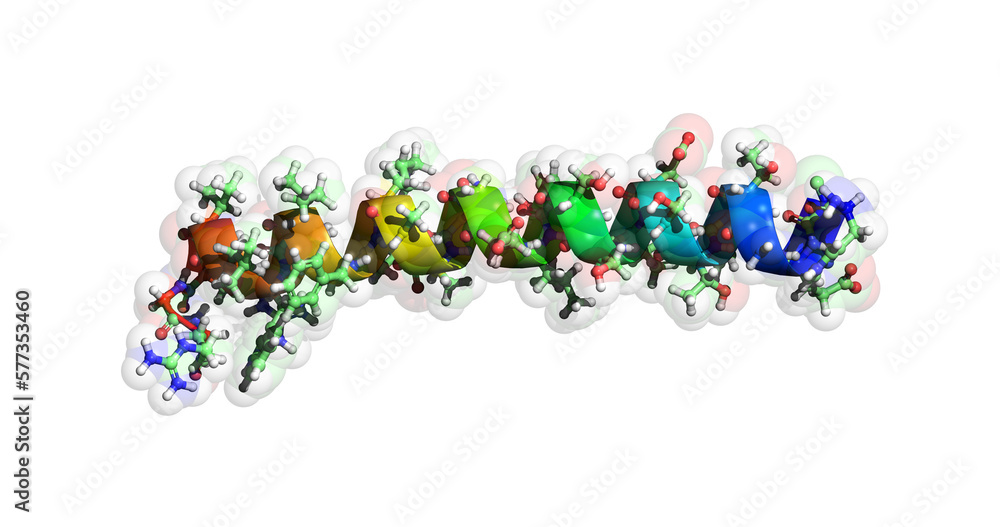Semaglutide, Ozempic, Wegovy, Rybelsus, antidiabetic medication 3D ...
