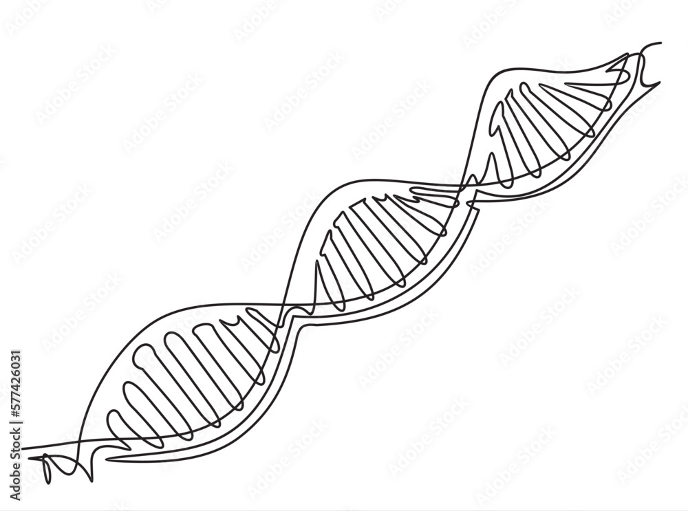 Continuous one line drawing of DNA Stock Vector | Adobe Stock