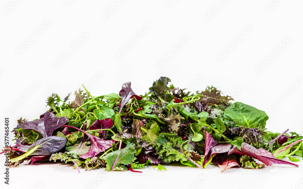 Heap of Salad mix of herbs leaves background. Fresh Salad background ...