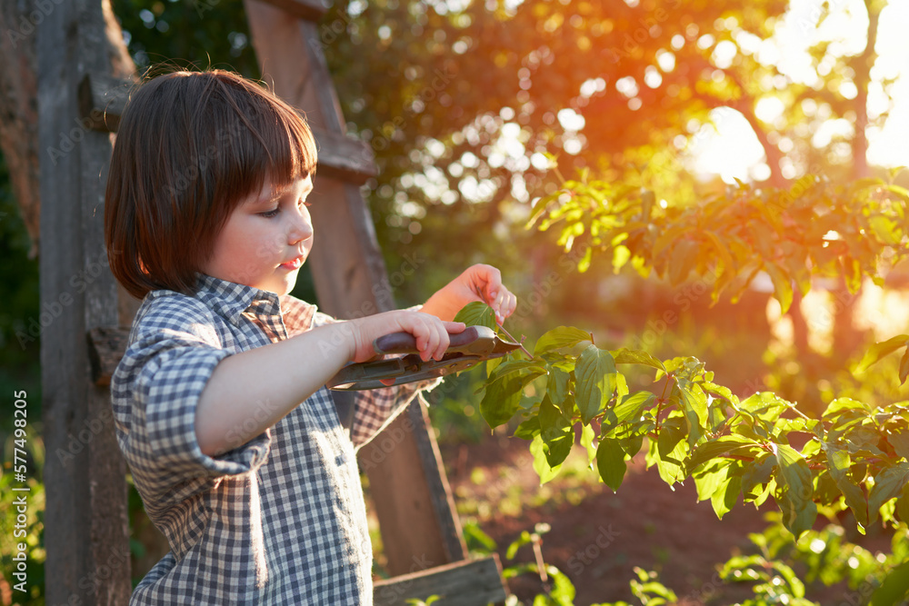 The child gets the skill of working with garden tools. The little girl ...