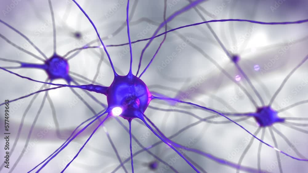 3d animation of the nervous system with nerve cells, receptors and ...