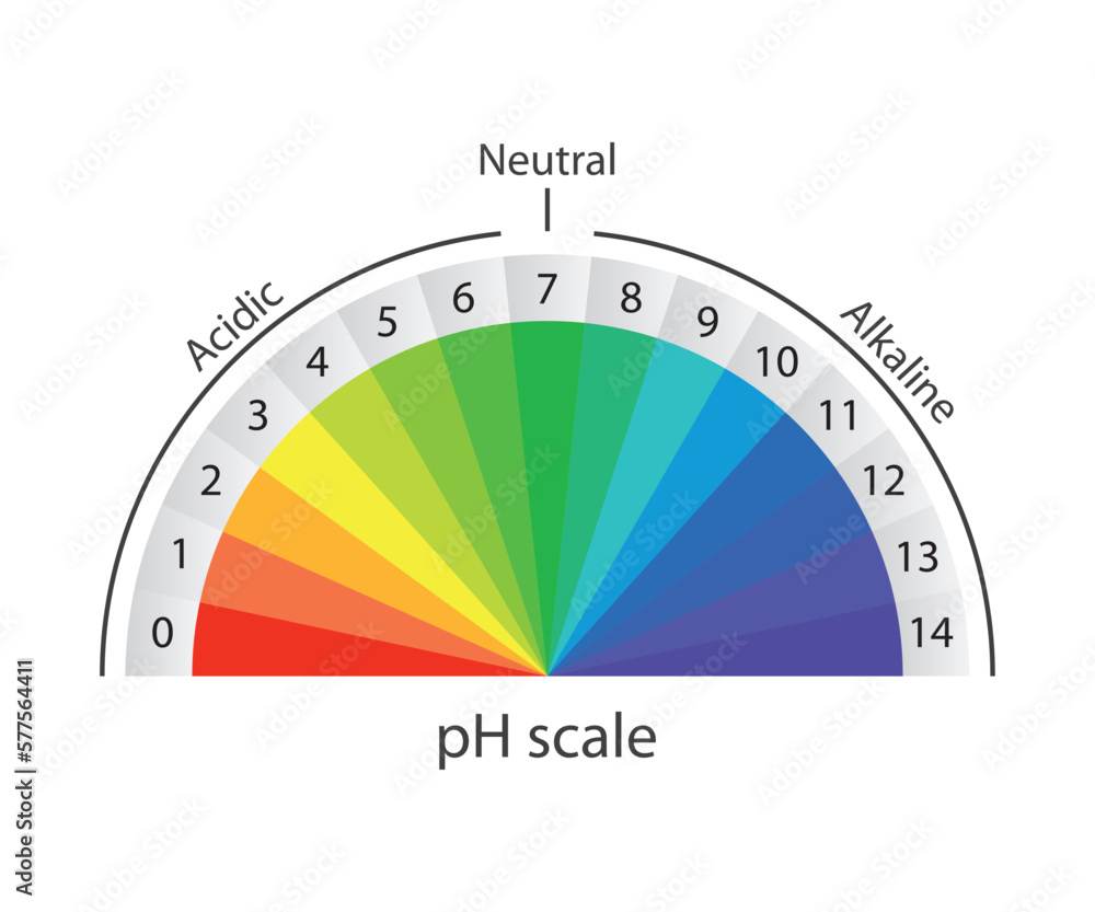 pH scale. Acid and base solutions Stock Vector | Adobe Stock