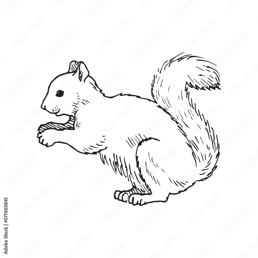 Monochrome illustration of animal in sketch style. Hand drawings in art ...