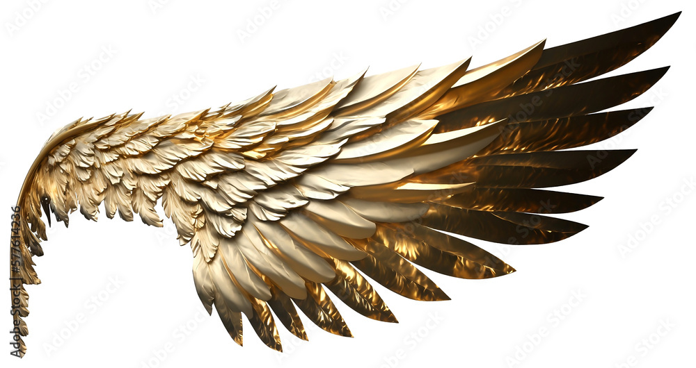 White angel wings render 3D feather bird wings isolated on white ...