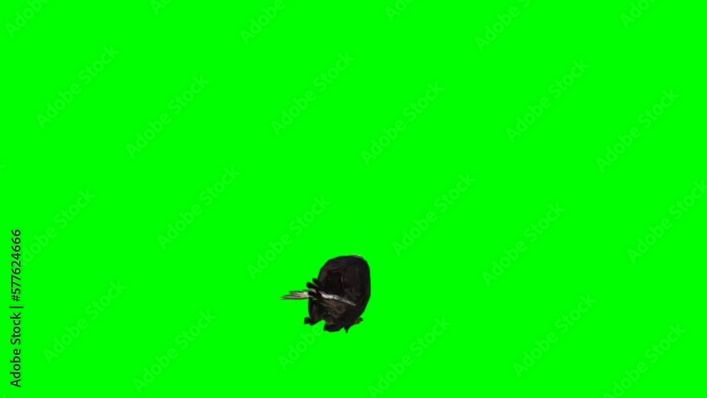 Eagle hunting and Flying Green Screen Animation, Chroma key, 3D ...