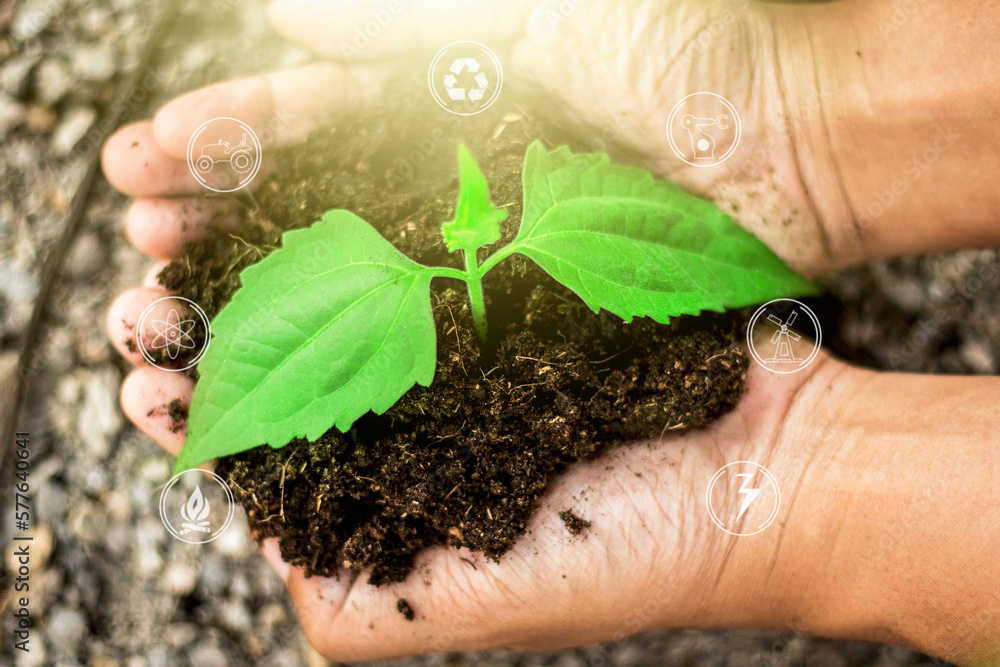 hand touching planting small plants with holographic soil environmental ...