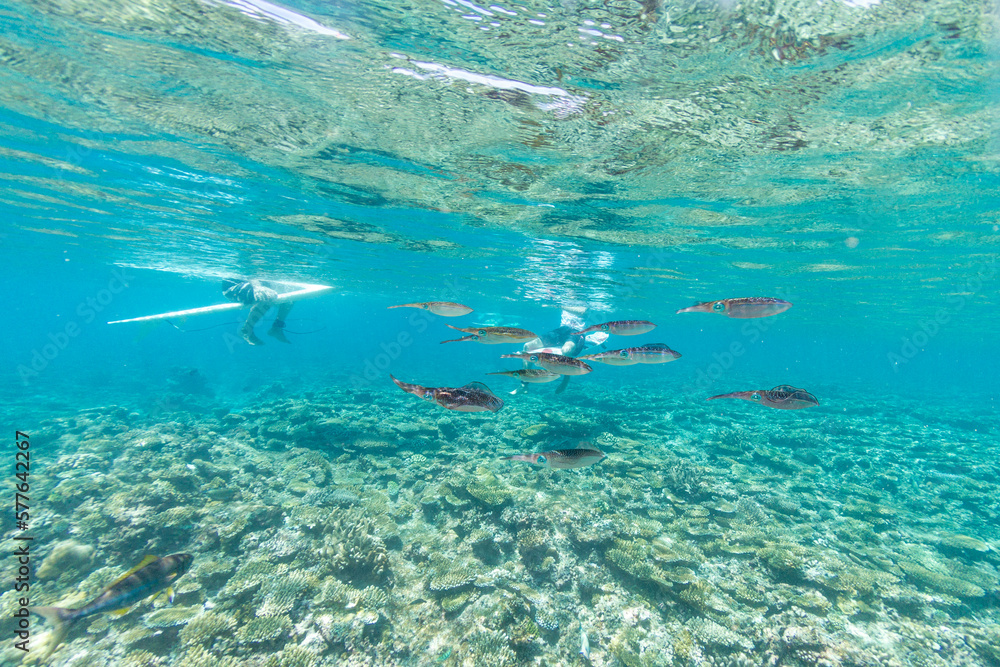 Underwater photos of surfers sitting on the surfboards with a group of ...