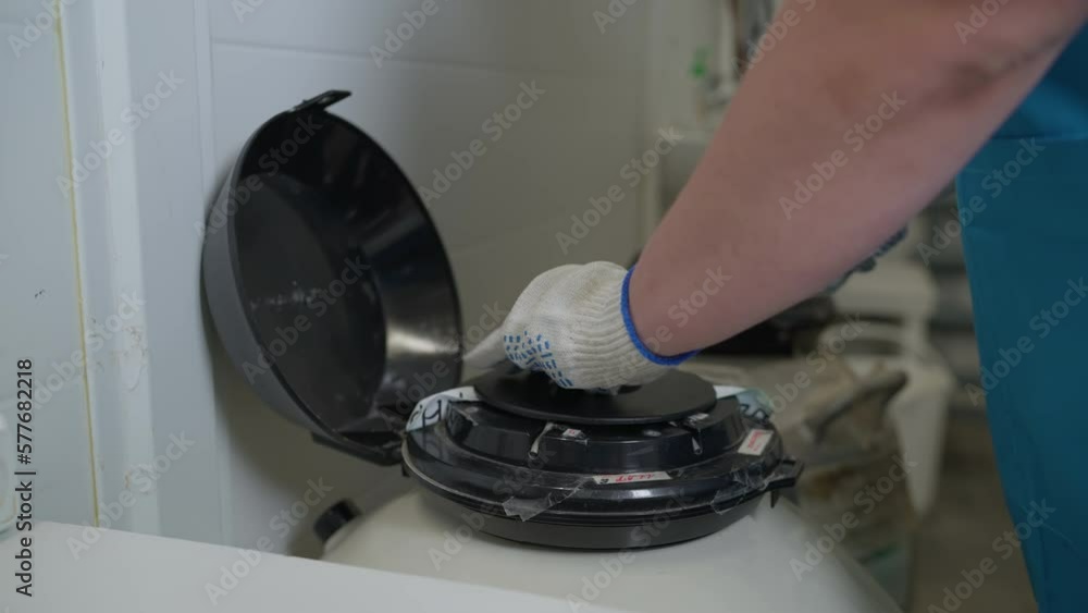 Worker in gloves emptying cold storage container at a laboratory ...