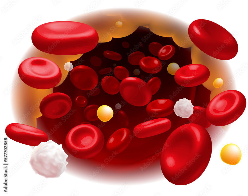 3D Illustration of red blood cells, white blood cells and cholesterol ...