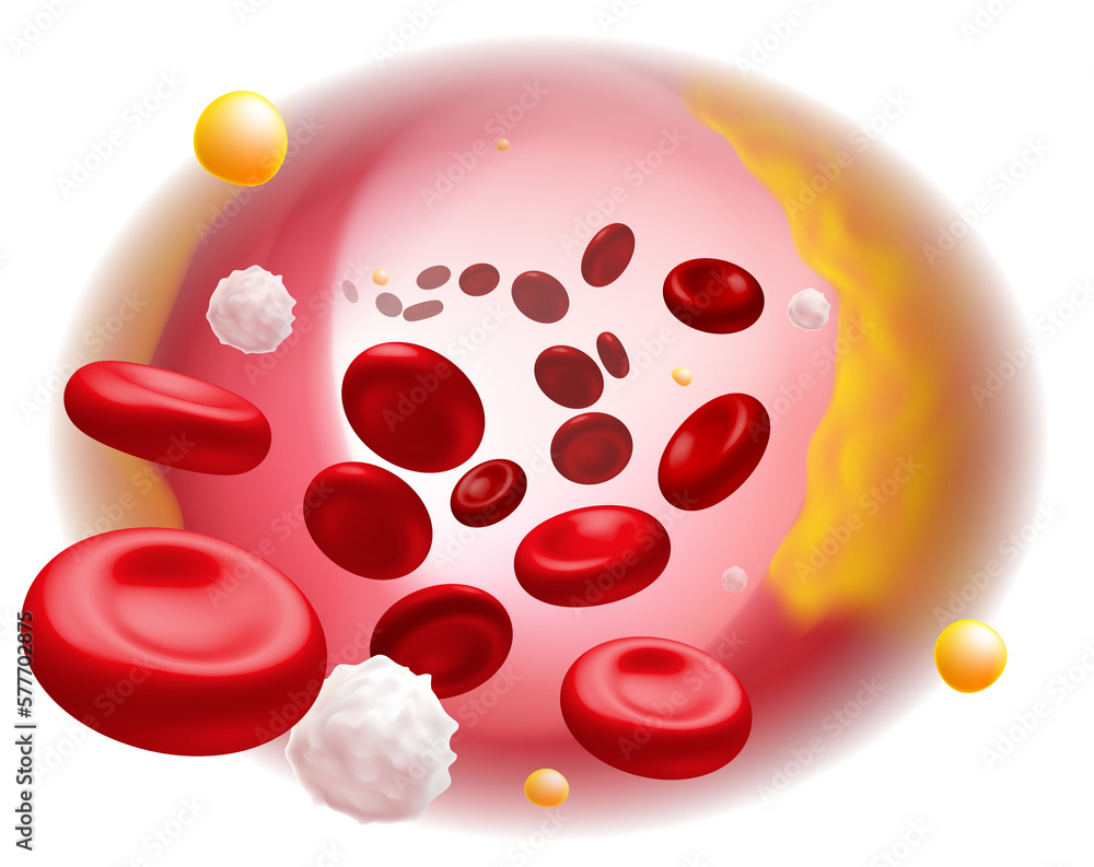 3D Illustration of red blood cells, white blood cells and cholesterol ...