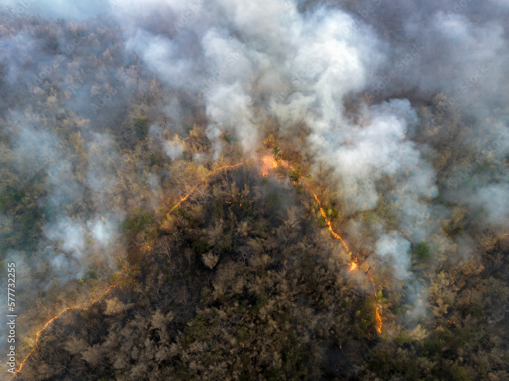 Climate change, Wildfires release carbon dioxide (CO2) emissions and ...