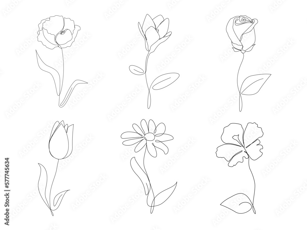 Continuous line drawing of flowers.Poppy,magnolia,tulip,rose ,camomile ...