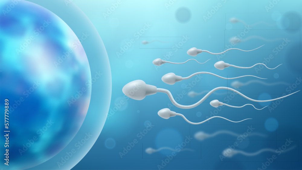Vetor De Sperm And Egg Cell Sperm Approaching Egg Cell Sperm Swim To Ovum Cell Laboratory