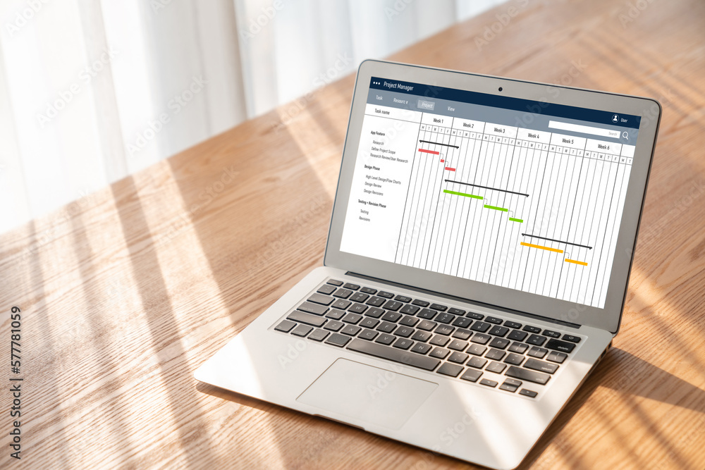 Project planning software for modish business project management on the ...
