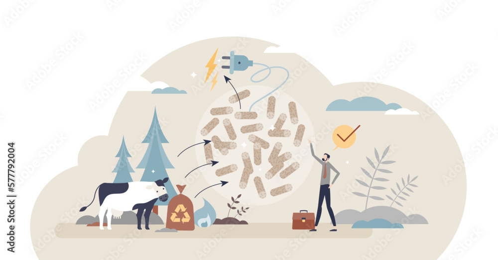 Biomass energy as alternative electricity production tiny person ...