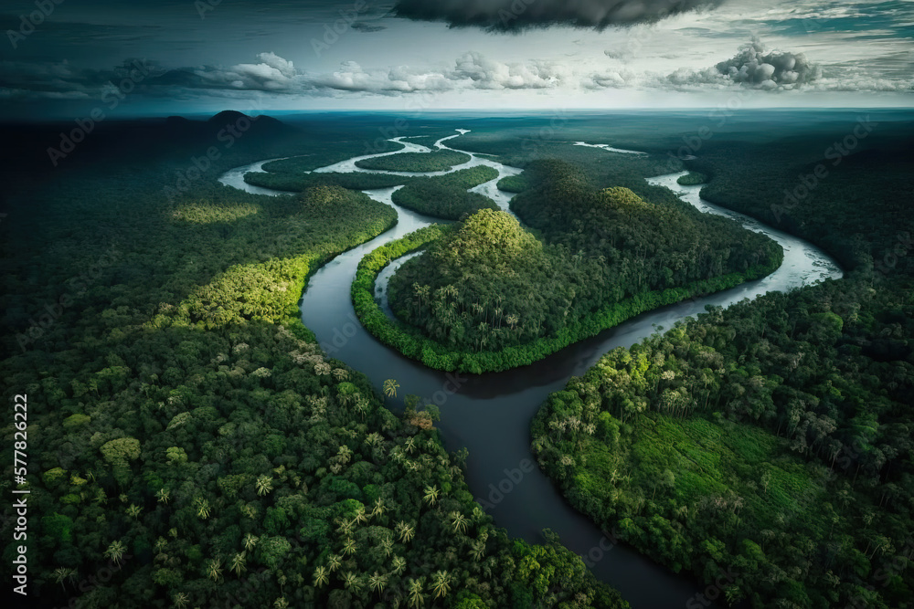 Aerial view of rainforest. Green ecological generative illustration ...