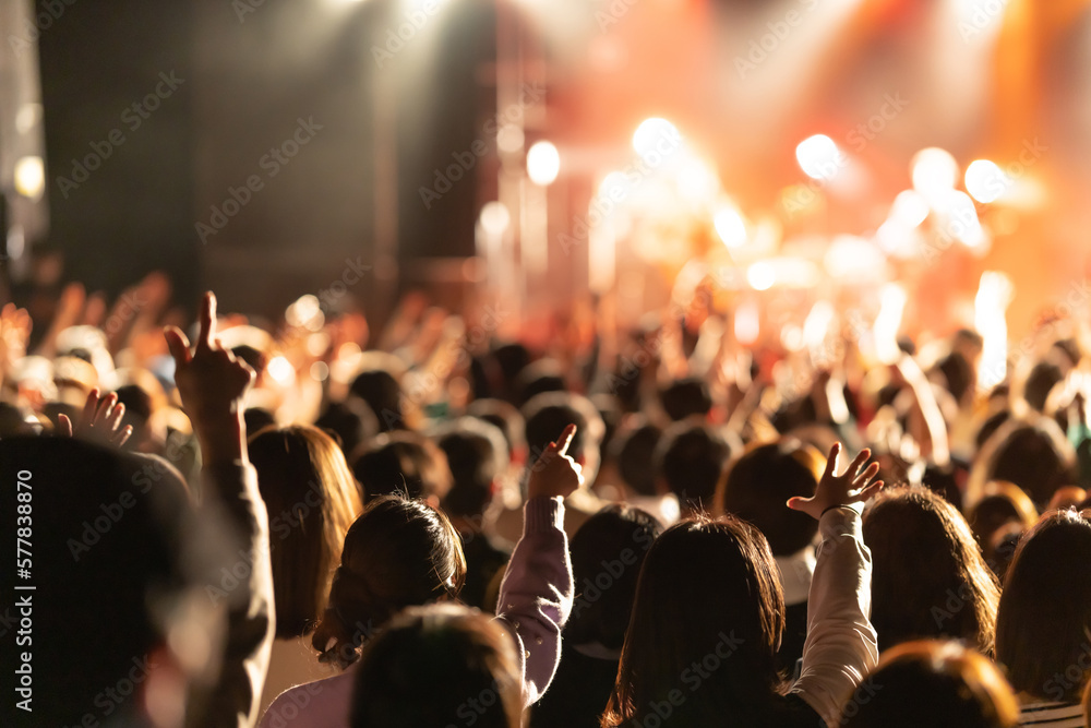 Rock concert Stock Photo | Adobe Stock
