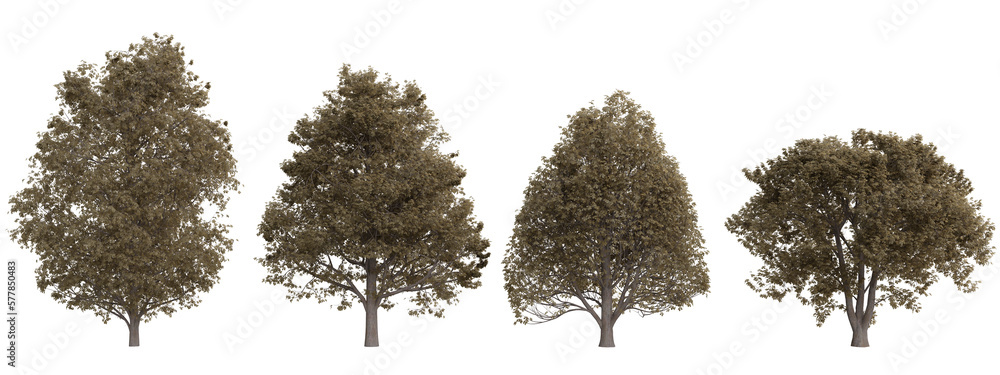 Isolated trees on transparent background.3d rendering PNG Set Stock ...