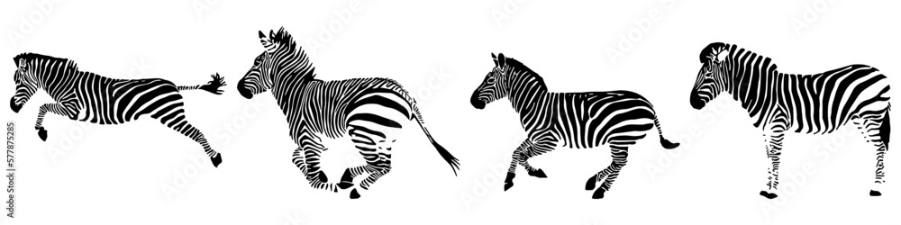 zebra vector only black stripe negative space. isolated transparent ...