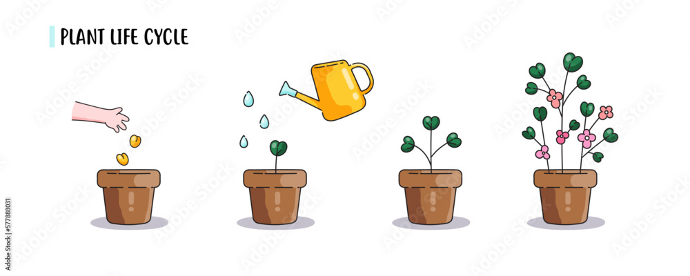Cartoon potted plat growth stages. icon set of flower growth process ...