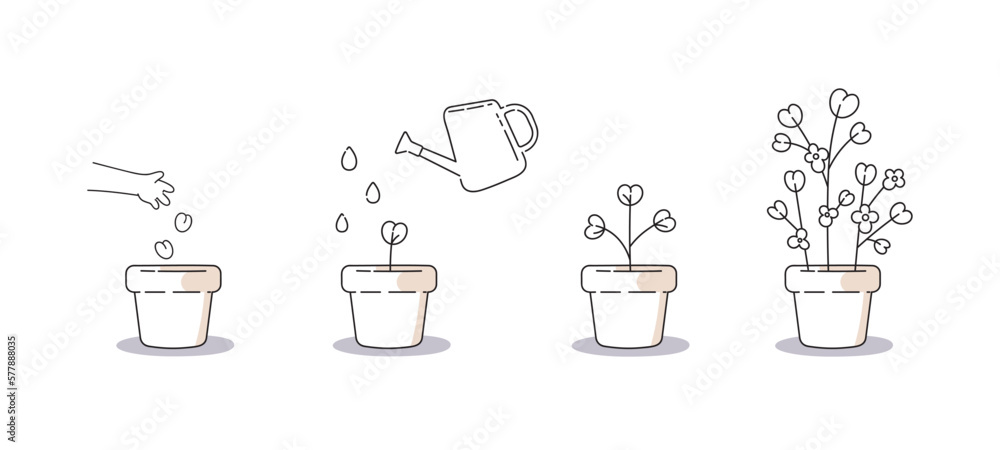 How to grown plants instruction. Minimalist set of icons about planting ...