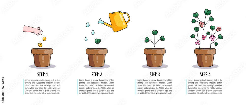Grafika wektorowa Stock: Step by step instructions on how to grow flowers and plants. 4 steps ...