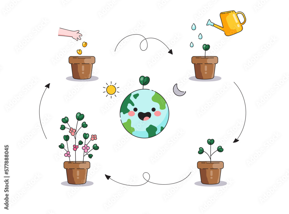 How to plant flowers in a pot. Demonstration of the plant growth cycle ...