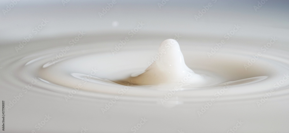 Milk is a white liquid food produced by the mammary glands of mammals ...