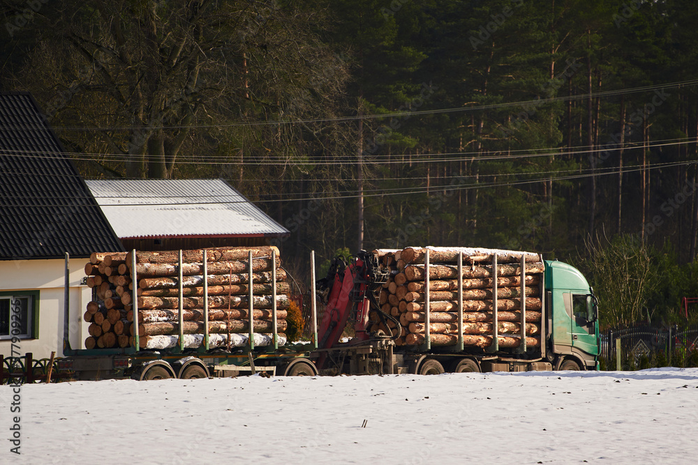 Log load in the winter. A loaded logging truck leaves the forestry site ...