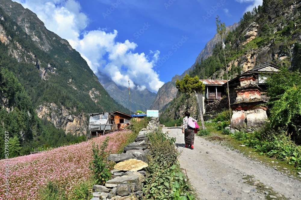 Dhukur Pokhari. A Nepali woman waling on a road in Dhukur Pokhari ...