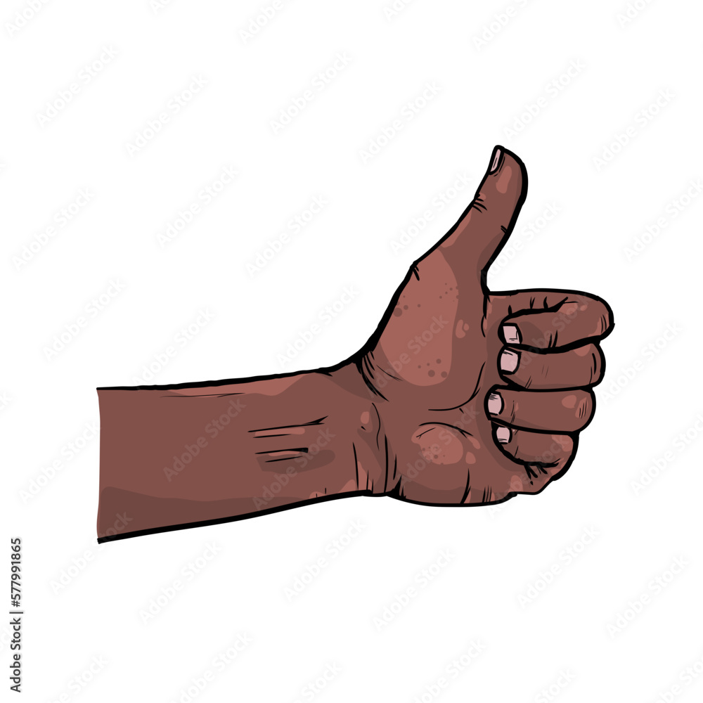 Hand, thumbs up, OK, vote, aprove - vector illustration, isolated Stock ...