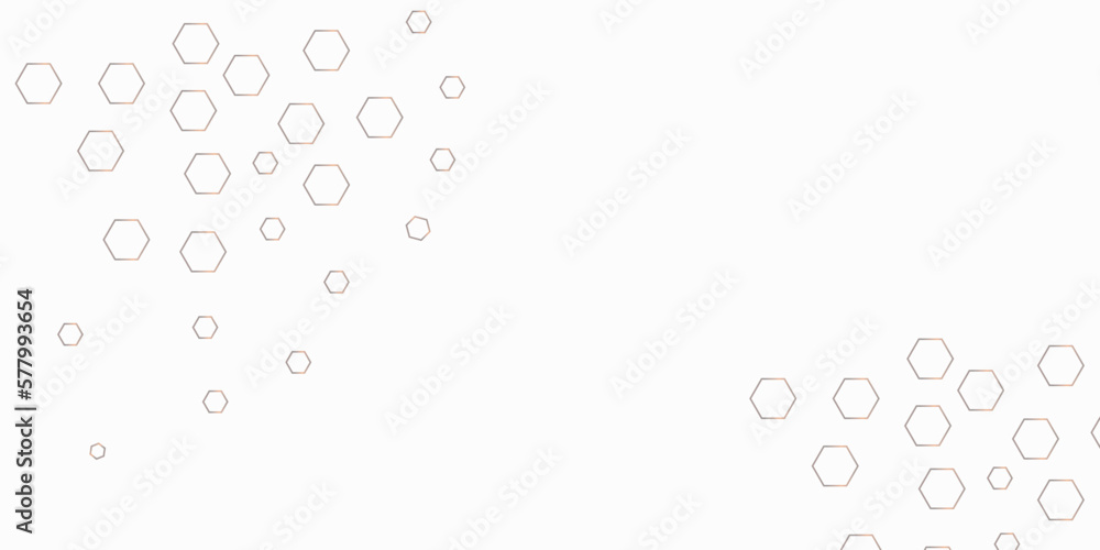 Background with hexagons . Abstract background with lines . white ...