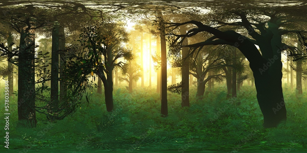 Trees in the fog. HDRI, environment map , Round panorama, spherical ...
