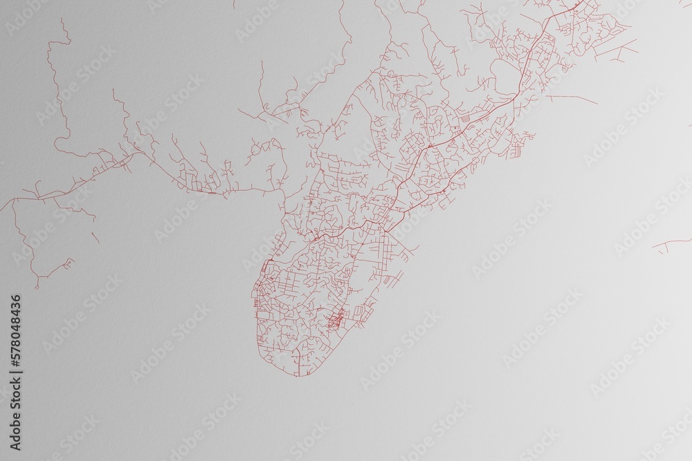 Map of the streets of Suva (Fiji) made with red lines on white paper ...
