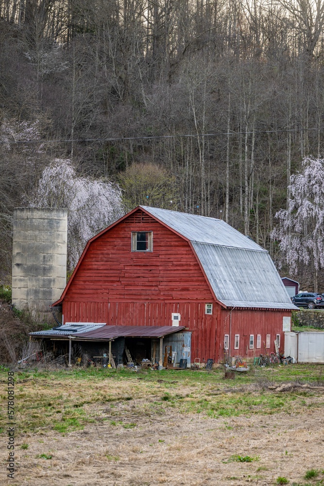house, old, wood, cabin, rural, cottage, building, wooden, nature ...