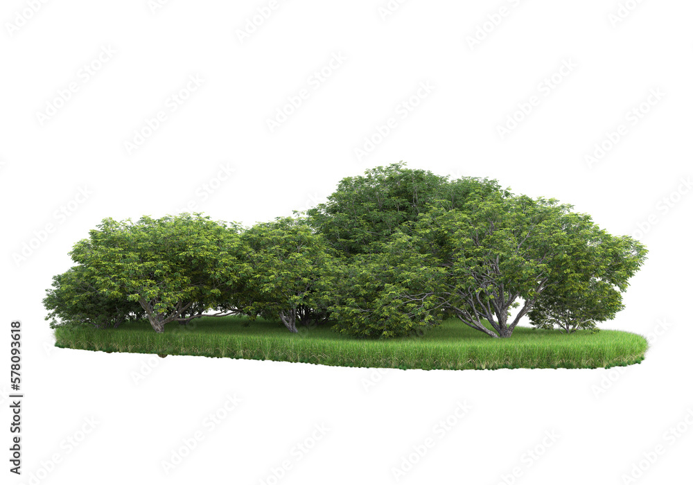 Realistic forest island on transparent background. 3d rendering ...