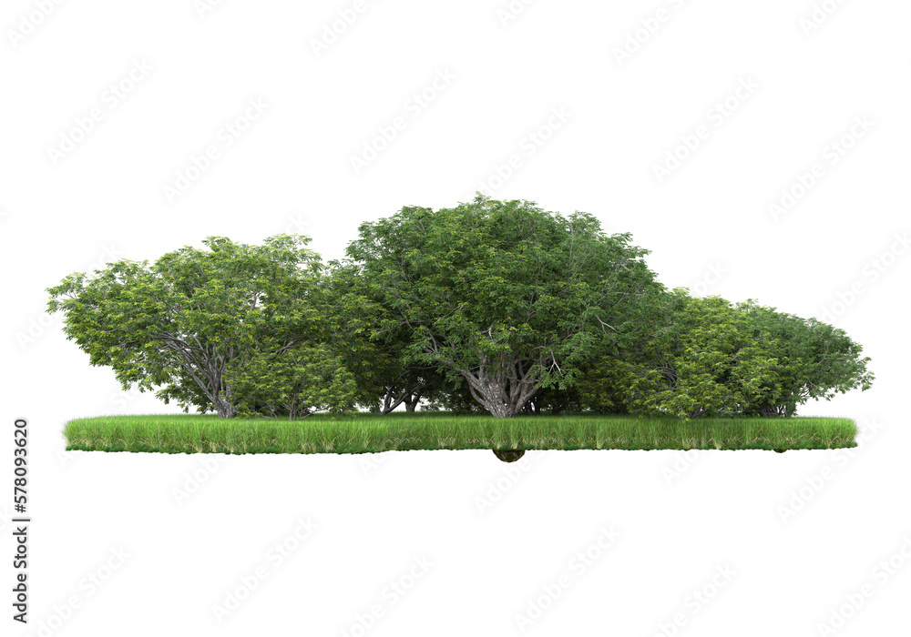 Realistic forest island on transparent background. 3d rendering ...