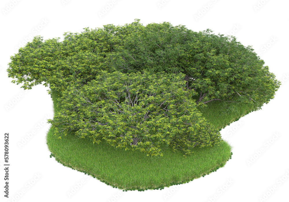 Realistic forest island on transparent background. 3d rendering ...