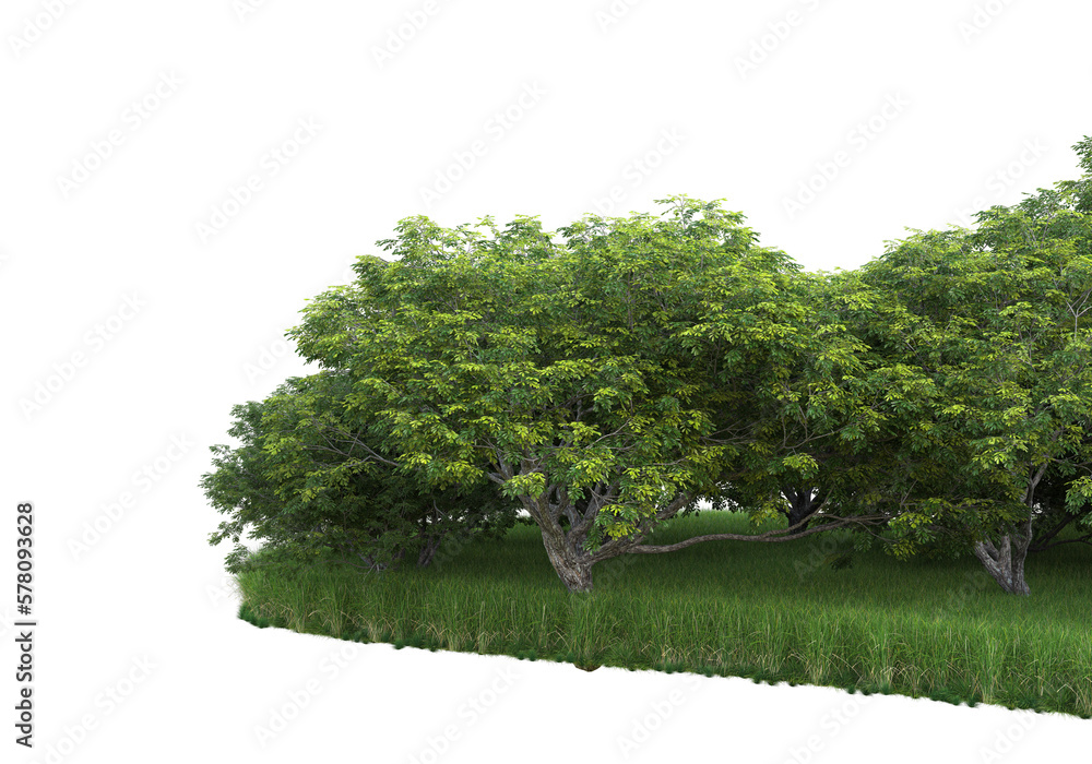 Realistic forest island on transparent background. 3d rendering ...