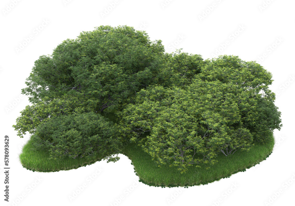 Realistic forest island on transparent background. 3d rendering ...