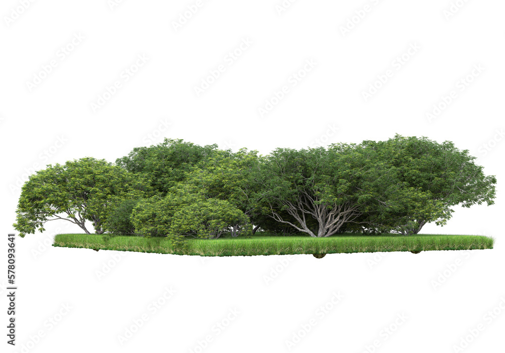 Realistic forest island on transparent background. 3d rendering ...